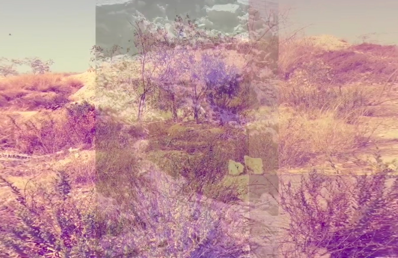 cv – Victoria Ahrens